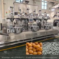 China SUS304 Nut Coating Frying Equipment with PLC Control Fried Coated Peanut Production Line for Food Processing Plant for sale