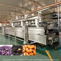China 1000-2000kg/h Fully Automatic Nut Coating and Frying Equipment Fried Flour-coated Peanut Making Machine for Food Processing Plants for sale