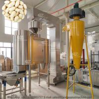 China Food Grade Groundnut Blanching Machine with 500kg/h Capacity High Blanching Rate Hazelnut Peeling Machine for sale