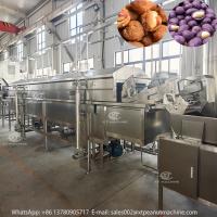 China New Technology Full Automatic Fried Coated Peanut Processing Equipment for Nut Processing Plants for sale