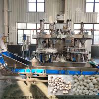 China Fully Automatic Frying Coated Peanut Processing Plant Cashew Nuts Almond Frying Production Line for sale