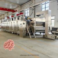China Continuous Nut Roaster Machine with PLC Control Stainless Steel Food Grade and 2000kg/h Capacity for sale