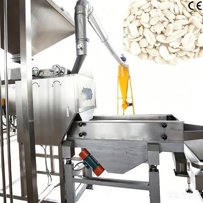 China 500kg/h SS304 Peanut Slitting and Blanching Machine Air Blancher With CE Certification for Food Processing Plants for sale