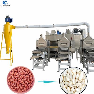 China High Quality 1000kg/h-2000kg/h SUS304 Peanut Cutting and Blanching Machine for Nut Processing Equipment for sale