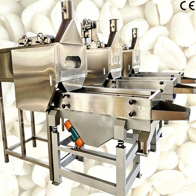 China Máquina blanqueadora de granos de cacahuete partidos, equipo preciso de corte y blanqueado para procesamiento de cacahuete for sale