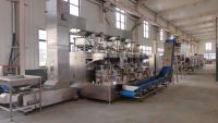 China Turnkey PLC Control Coated Peanut Production Line | Industrial Nuts Coating Frying Seasoning Plant for sale