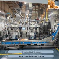 China SUS304 Automatic feeding powder for making fish skin coated peanut/crispy coated peanut for sale