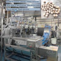China SUS304 Automatic feeding powder for making fish skin coated peanut/crispy coated peanut for sale