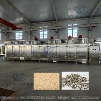 China Industrial Automatic Cashew Peanut Hazelnut Roasting Machine Continuous Nut Roaster 500‑2000kg/H For Food Processing Plant for sale