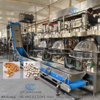 China PLC Control High‑Speed Dough Coated Peanut Burger Making Machine Multifunctional Nut Snack Coating Equipment for sale