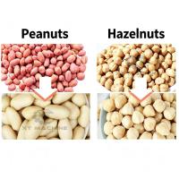 China Stainless Steel Air Blanching Peanut Peeling Machine XT 1000kg/h Peanut Hazelnut Industrial  Processor for sale