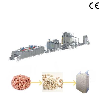 China Commercial Blanched Peanut Production Line Automatic Air Peeler Hazelnut Pistachio Nut Roasting Packing Machinery for sale