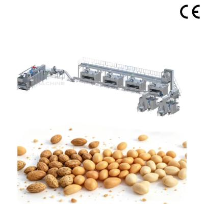 China Customized Nut Coating Roasting Production Line Complete Coated Peanut Making Line For Snack Food Factory for sale