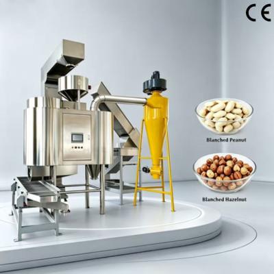 China Commercial Air Peanut Blancher 500kg/h Stainless Steel Skin Remover for Peanut Hazelnut Pistachio XT Machinery for sale