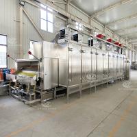 China PLC Control Cashew Nut Japanese Beans Roasting Machine 500kg/h-2000kg/h Automatic Nut Roaster for sale