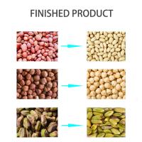 China New PLC Controlled Stainless Steel Peanut Air Blanching Machine Hazelnut Chickpeas Peeling Machine for Nut Processing Plants for sale