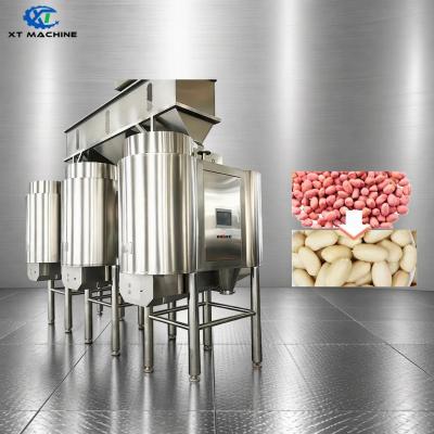 China Industrial Blanched Peanut Turnkey Solution SUS304 Automatic Air Peeling & Roasting Line for White Peanut Kernel Processing for sale