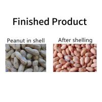 China Stable Motor Groundnut Dehuller Machine 200kg/h Carbon Steel Automatic Peanut Shelling Equipment For Peanut Processing for sale