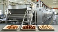 China Continuous Nut Oven with PLC Control Stainless Steel Food Grade and 2000kg/h Capacity for making salted peanut for sale