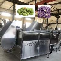 China Industrial Nuts Batch Fryer SUS304 Gas Heating Automatic Batch Frying Equipment for Peanut Almond Nut CE Approved for sale