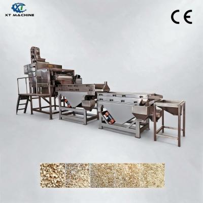 China Food Grade Nut Chopping Machine SUS304 Automatic Peanut Granule Cutting Line for Almond Hazelnut Production XT Machinery for sale