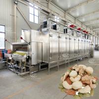 China Food Grade Large Capacity Pistachio Roaster with PLC Control Cashews Roasting Machine for sale