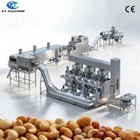 China Auto Fried Coating Nut Production Unit XT Machine Full Automatic Flour Coated Peanut Making Line for Snack Business for sale