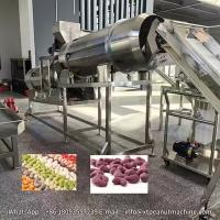 China Auto Fried Coating Nut Production Unit XT Machine Full Automatic Flour Coated Peanut Making Line for Snack Business for sale
