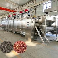 China Belt Type Continuous Peanut Roasting Machine Salted Melon Seed Roaster PLC Control for Food Processing for sale