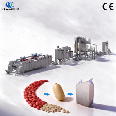 China Customizable White Peanut Kernel Production Line SUS304 Air Blanching Peeling Roasting Line for Peanut Food Factory for sale