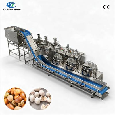 China Industrial Nut Coating Machine XT Automatic Sugar Coating Equipment for Peanut Cashew Continuous Coated Peanut Production Line for sale