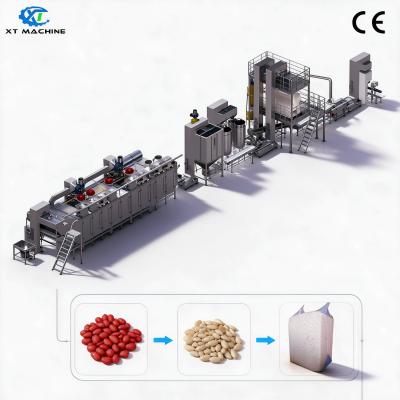China Intelligent Control Blanched Peanut Processing Line SUS304 Air Blanching Equipment for White Peanut Manufacturing for sale