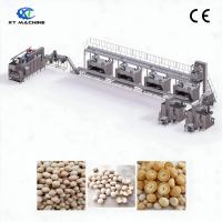China High Efficiency Coated Peanut Roasting Line SUS304 Automatic Nut Seasoning Coating Equipment for Snack Factories for sale