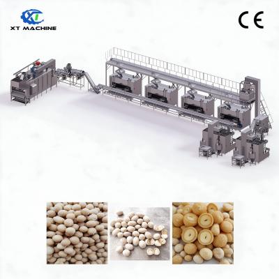 China High Efficiency Coated Peanut Roasting Line SUS304 Automatic Nut Seasoning Coating Equipment for Snack Factories for sale