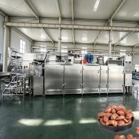China Non-standard Customization Roasted Salted Almond Kernels Groundnut Cashews Roasting Machine for sale