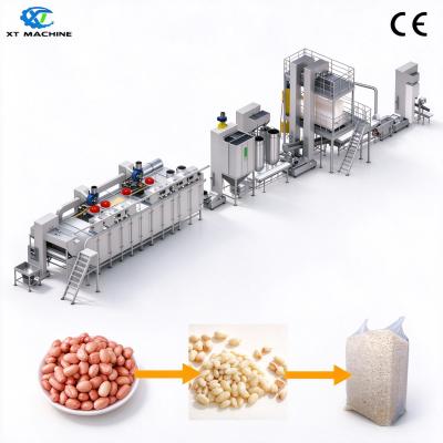 China Premium Quality Continuous Nut Roaster SUS304 Hot Air Roasting Oven for Peanut Almond Cashew Processing for sale