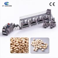 China Turnkey Peanut Coating Roasting Line SUS304 Auto Nut Seasoning Equipment Custom Coated Peanut Manufacturing System for sale