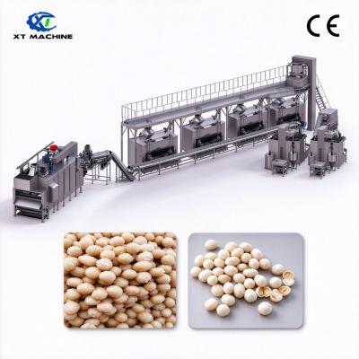 China Turnkey Peanut Coating Roasting Line SUS304 Auto Nut Seasoning Equipment Custom Coated Peanut Manufacturing System for sale