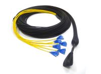 China SM SC - SC 24F Pre Terminated Multi Fiber Cables Highly Flexible Custom Length for sale