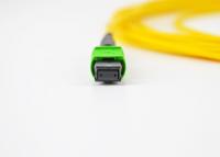 China 8F Female MPO To MPO Fiber Optic Cable Patch Cord With G657A1 / LSZH Cable for sale