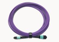 China MT Ferrule OM4 Mpo To Mpo Cable , Optical Patch Cord For Data Center System for sale