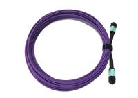China MT Ferrule OM4 Mpo To Mpo Cable , Optical Patch Cord For Data Center System for sale