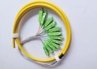 China Machine Polishing 12F Fiber Optic Pigtail 0.9mm G657A1 Distribution Cable for sale