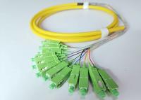 China Machine Polishing 12F Fiber Optic Pigtail 0.9mm G657A1 Distribution Cable for sale