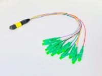 China G657A1 12F MPO Breakout Cable APC Polish For 40 / 100G Optical Modules Connectivity for sale