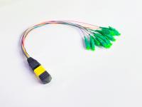 China G657A1 12F MPO Breakout Cable APC Polish For 40 / 100G Optical Modules Connectivity for sale