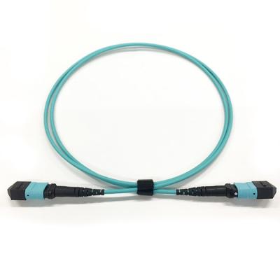 China OM3 - 300 MPO Patch Cable 12F US Conec MTP - MTP Trunk Cable Assemblies for sale