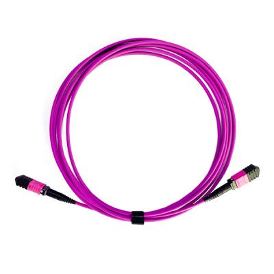 China 24 Fiber MPO Patch Cable Multimode High Tensile Strength Violet Cable Color for sale