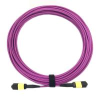China 12 Core OM4 Lszh Patch Cable , SENKO Female Mpo Patch Cord Purple Color for sale