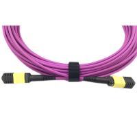 China 12 Core OM4 Lszh Patch Cable , SENKO Female Mpo Patch Cord Purple Color for sale